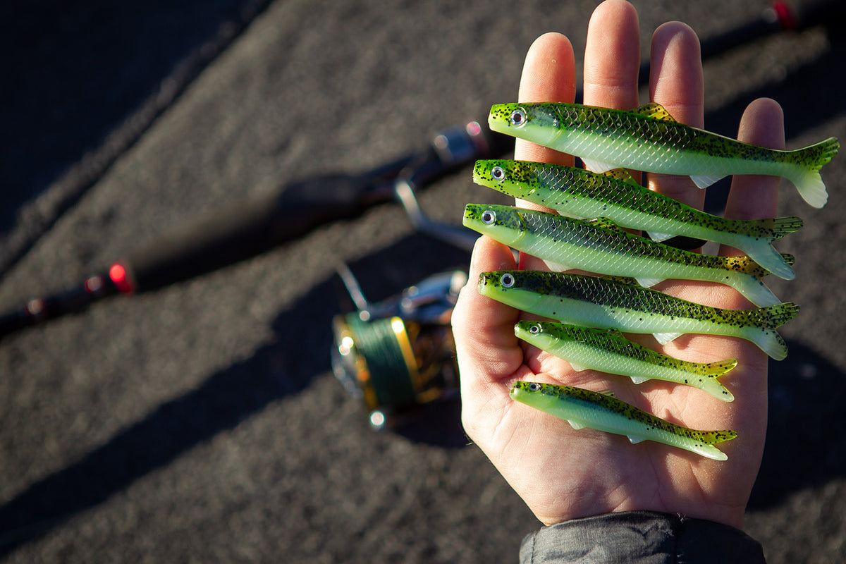 Banjo Minnow | Catch More Fish, Even When They're Not Hungry!