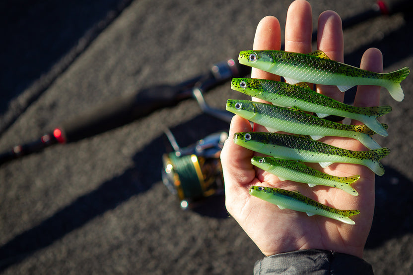 Banjo Minnow | Catch More Fish, Even When They're Not Hungry!