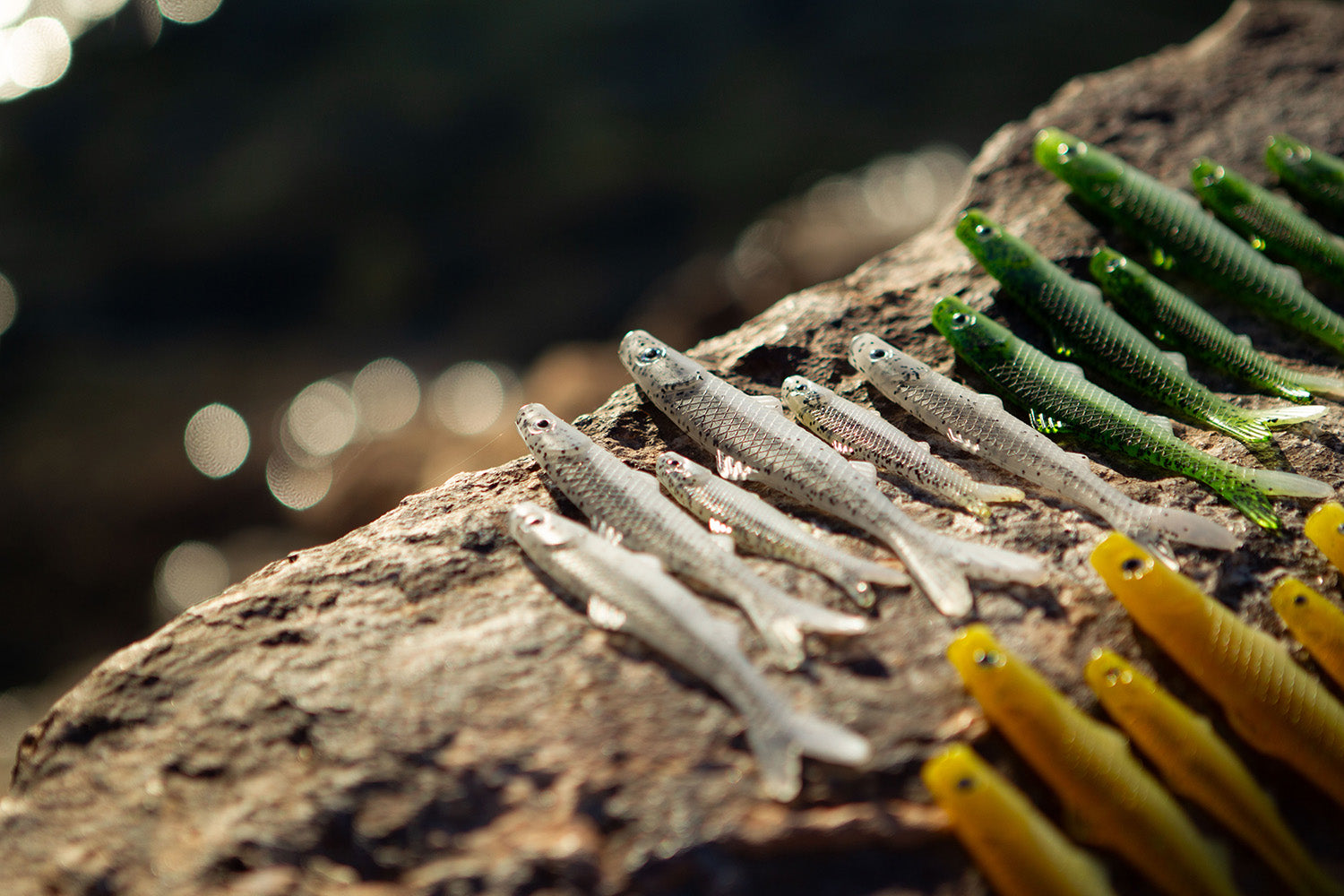 Banjo Minnow | Catch More Fish, Even When They're Not Hungry!