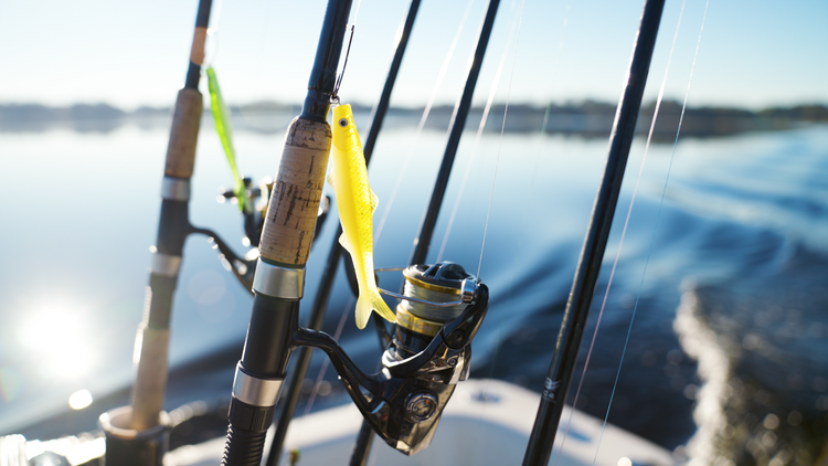 Banjo Minnow | Catch More Fish, Even When They're Not Hungry!