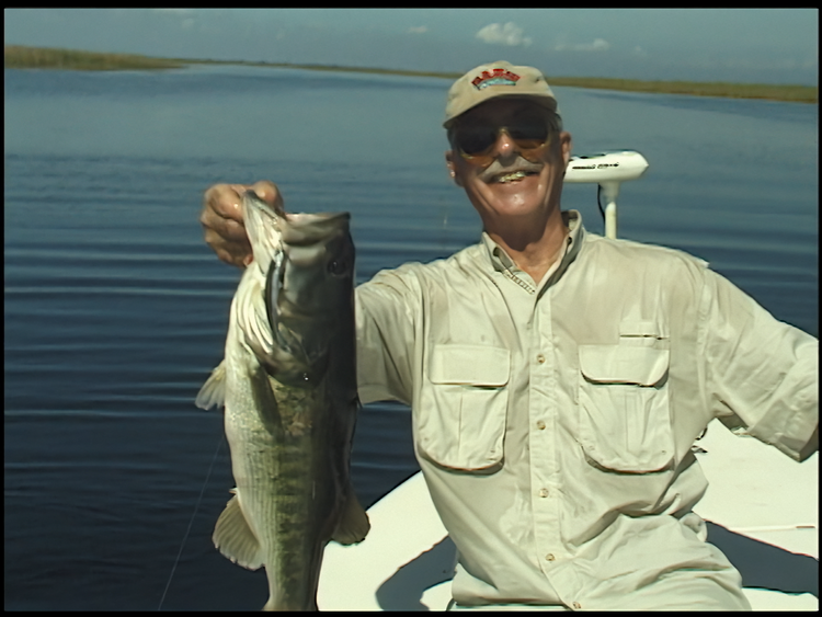 About – Banjo Minnow