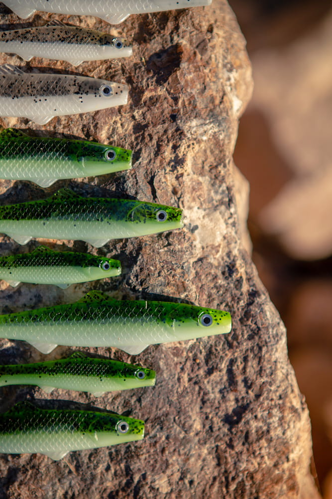 Collections – Banjo Minnow