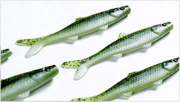 Collections – Banjo Minnow