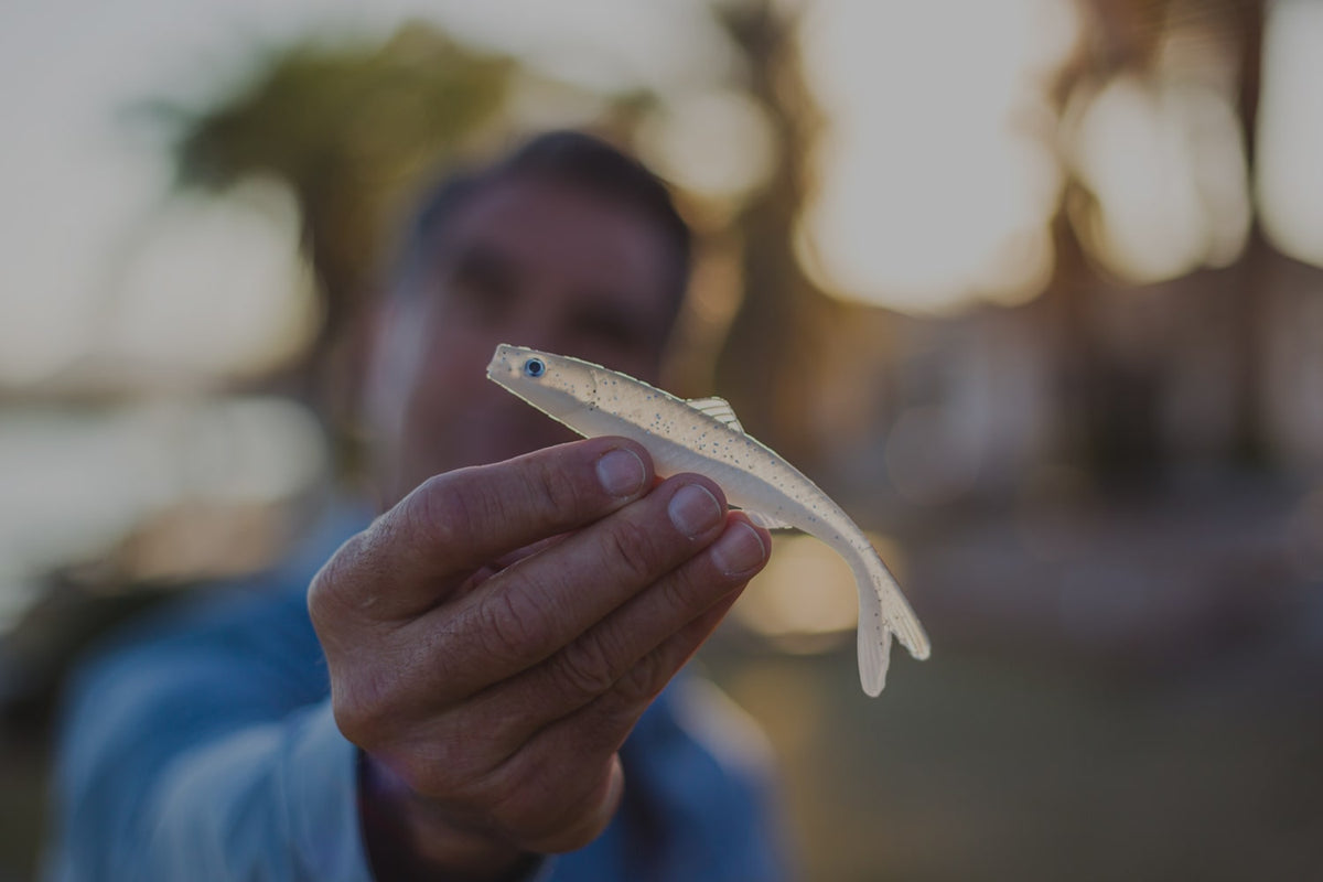 Banjo Minnow | Catch More Fish, Even When They're Not Hungry!